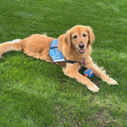 UniDisc: Unified Multimodal Discrete Diffusion